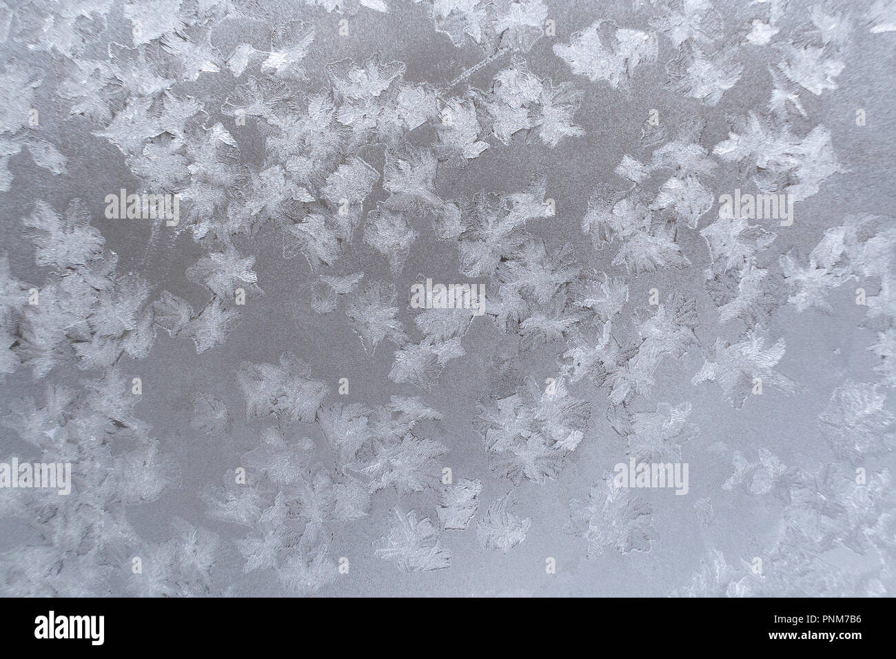 Close-up icy pattern of frozen snowflakes on window pane Stock Photo ...