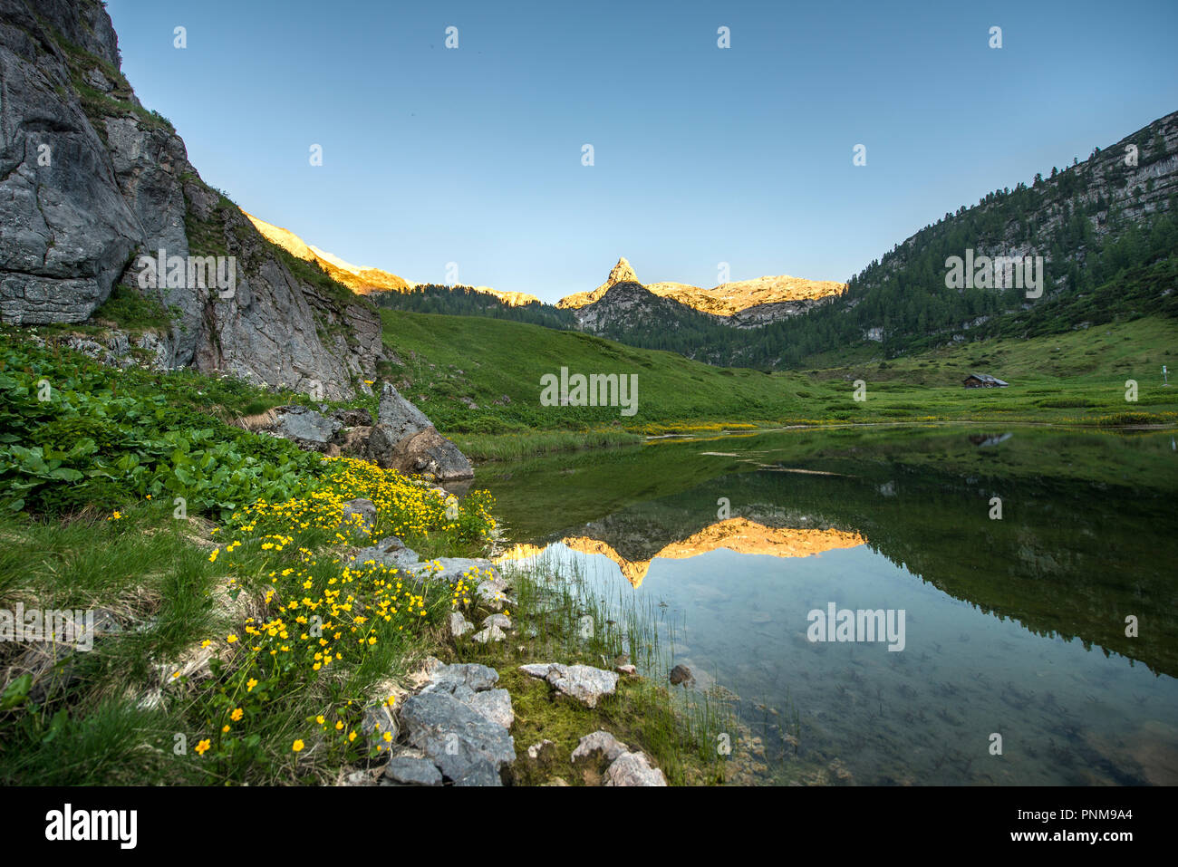Schottmalhorn reflected in lake Funtensee at sunset, Steinernes Meer ...
