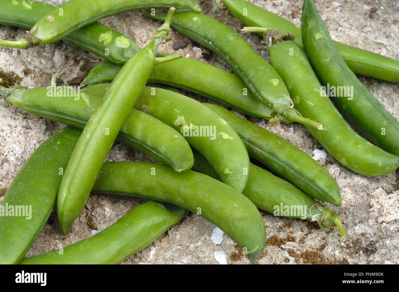 peas with a stone texture Stock Photo - Alamy