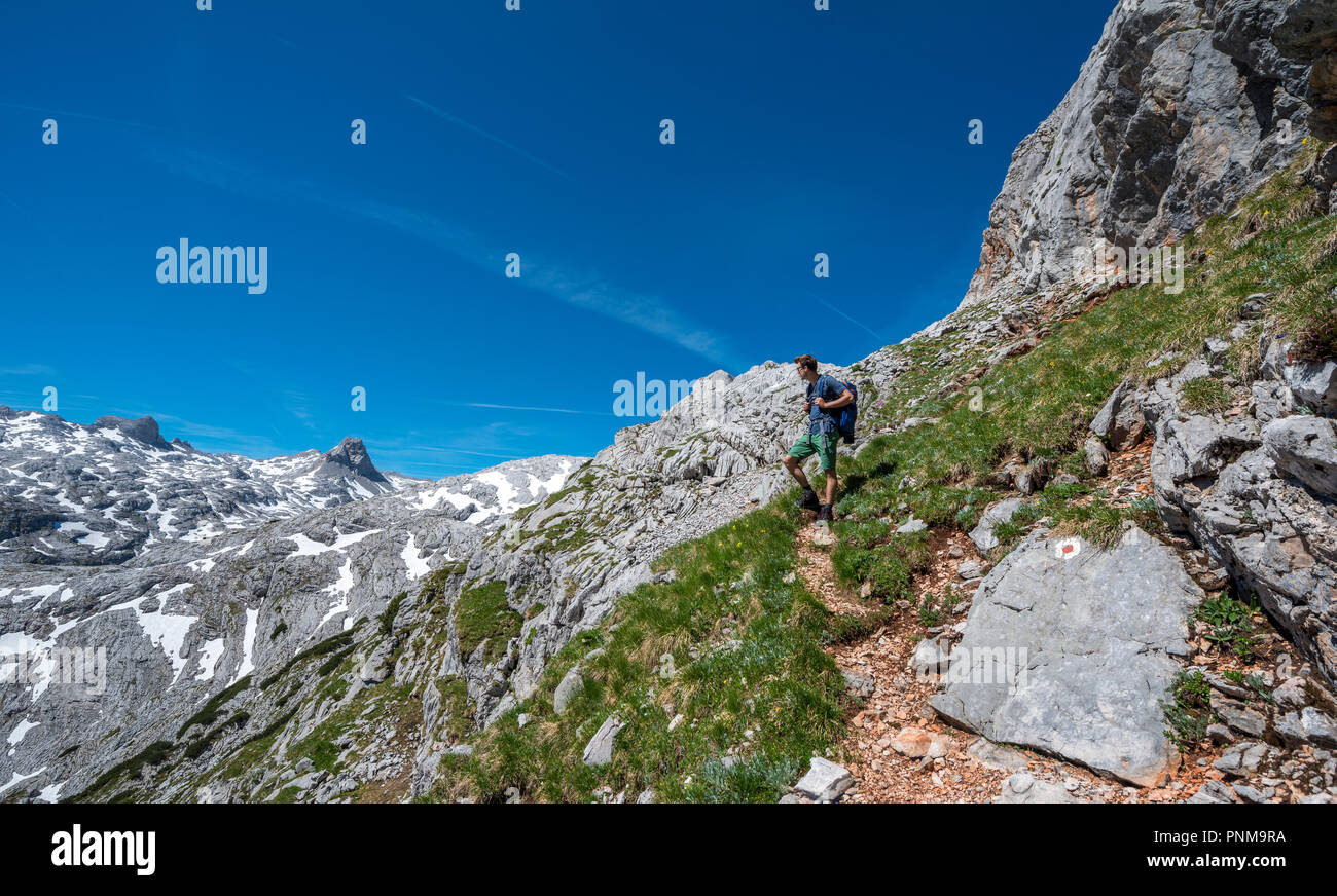 Spring hiking trail hi-res stock photography and images - Alamy