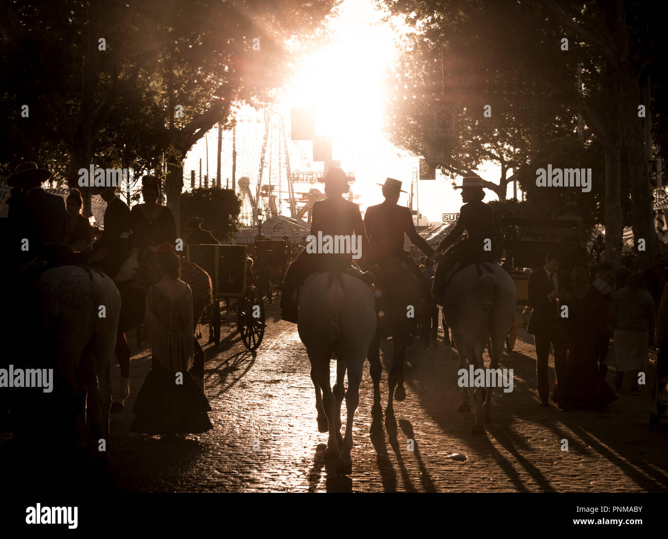 Back rider hi-res stock photography and images - Alamy