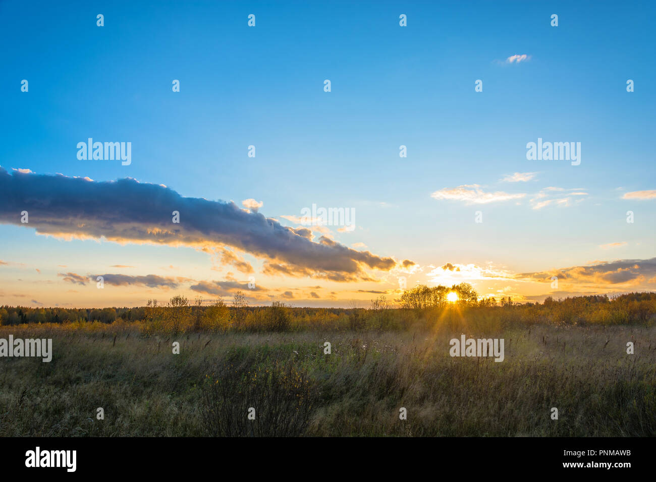 Bright yellow sunlight hi-res stock photography and images - Alamy