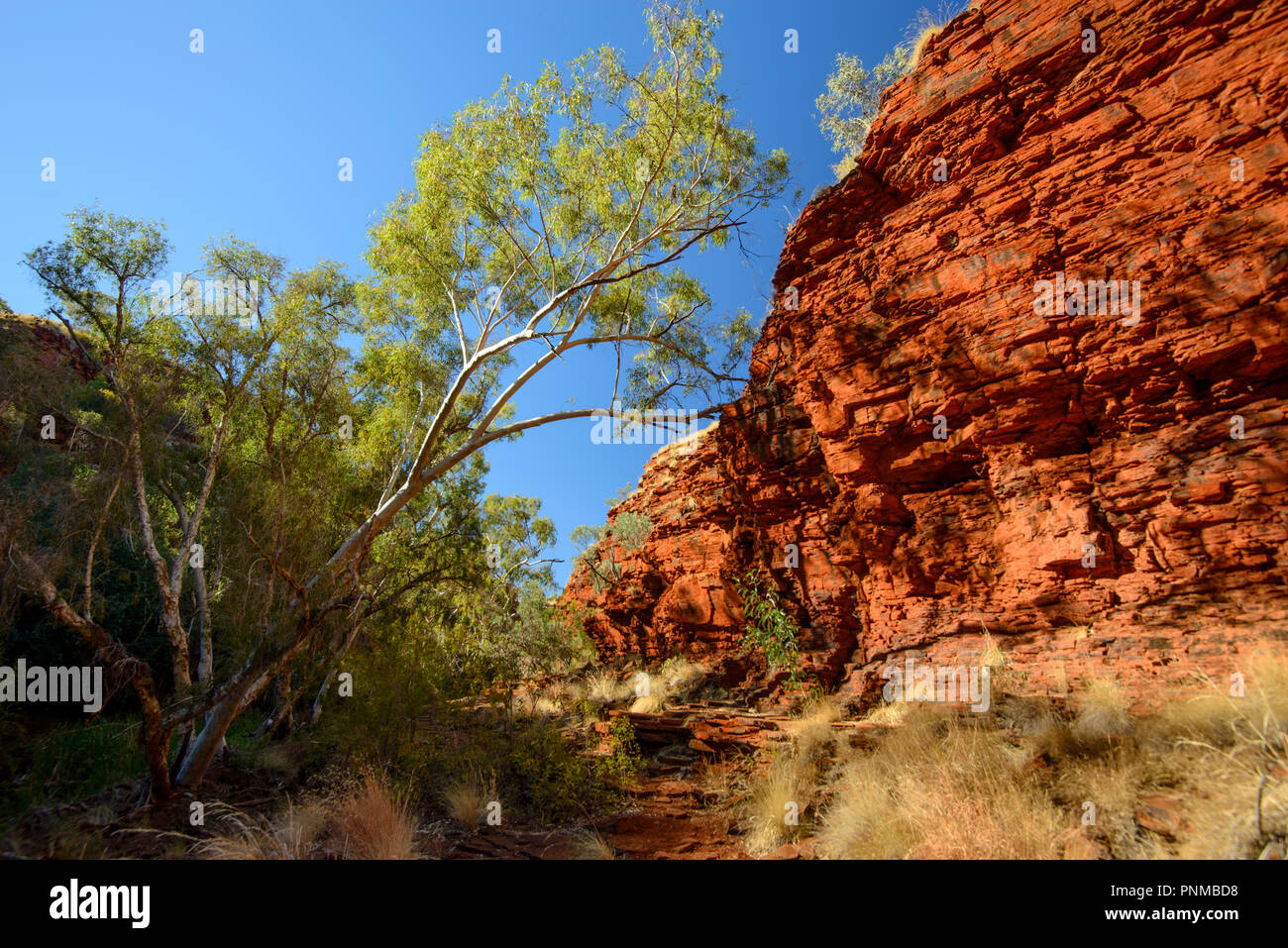 Knox Gorge Karijini | The Karijini Gorges: Your Complete Guide – JKNY