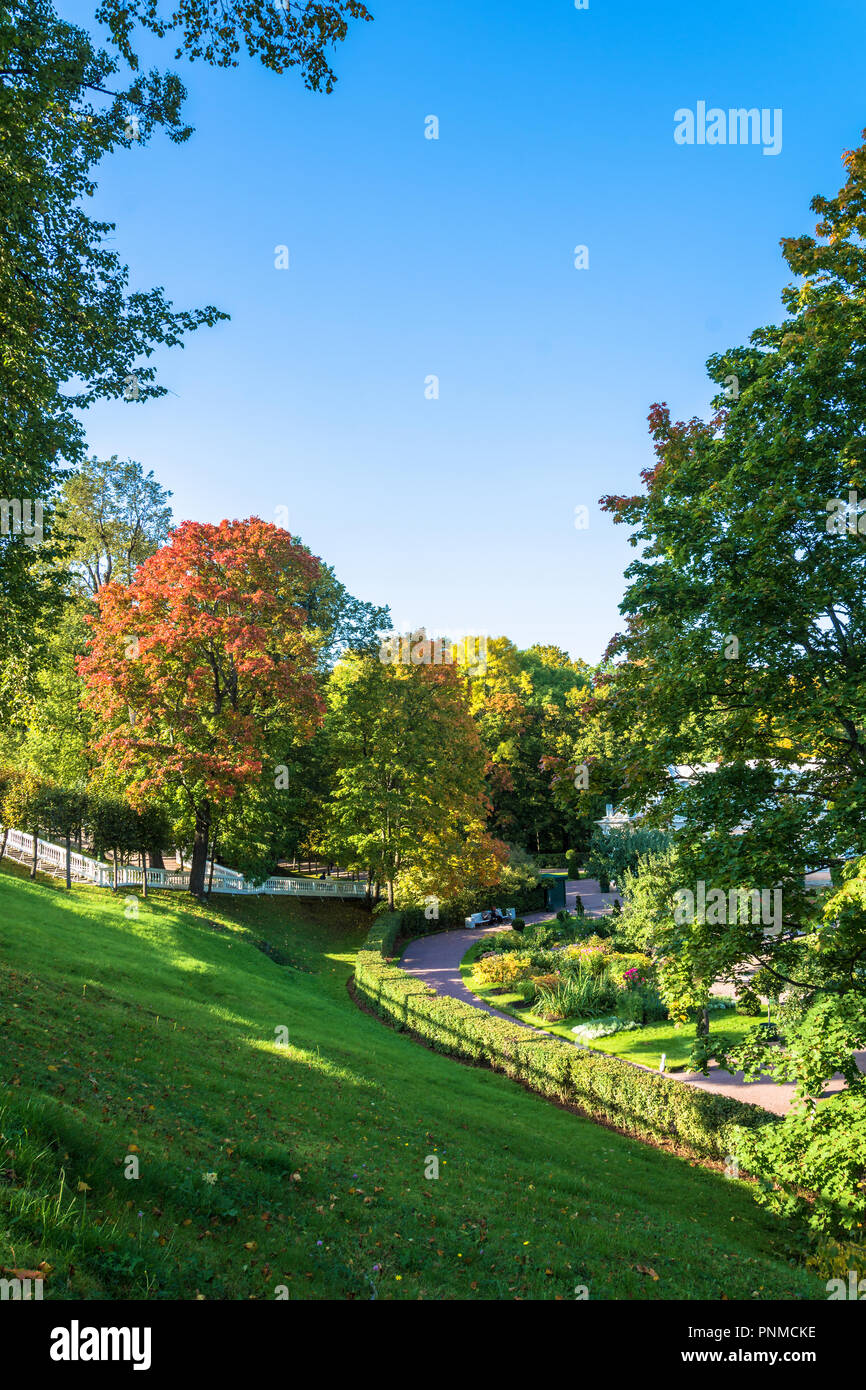 Beautiful autumn area on a Sunny day in the Park of Peterhof, Russia ...