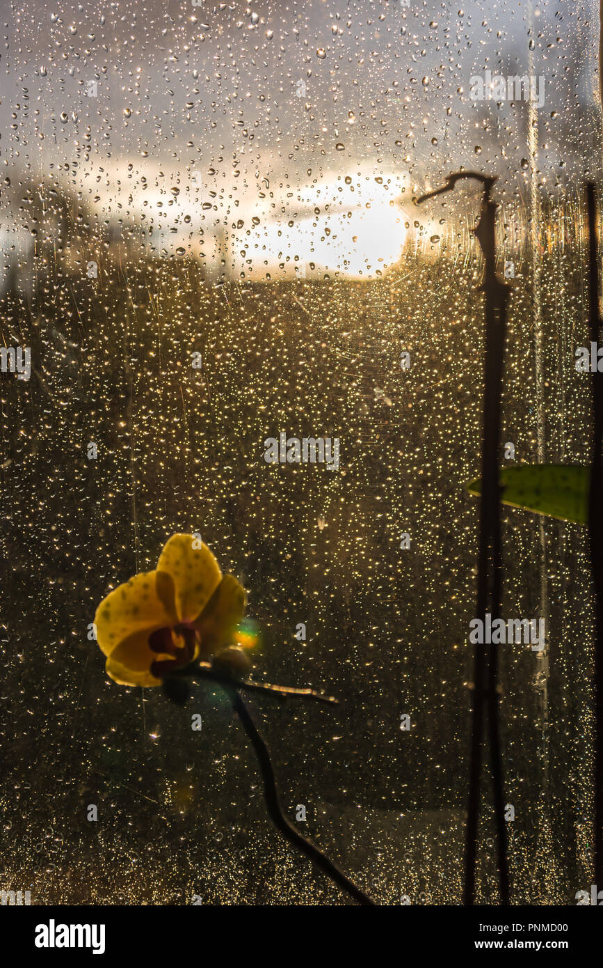 That was the day the summer went by Stock Photo - Alamy