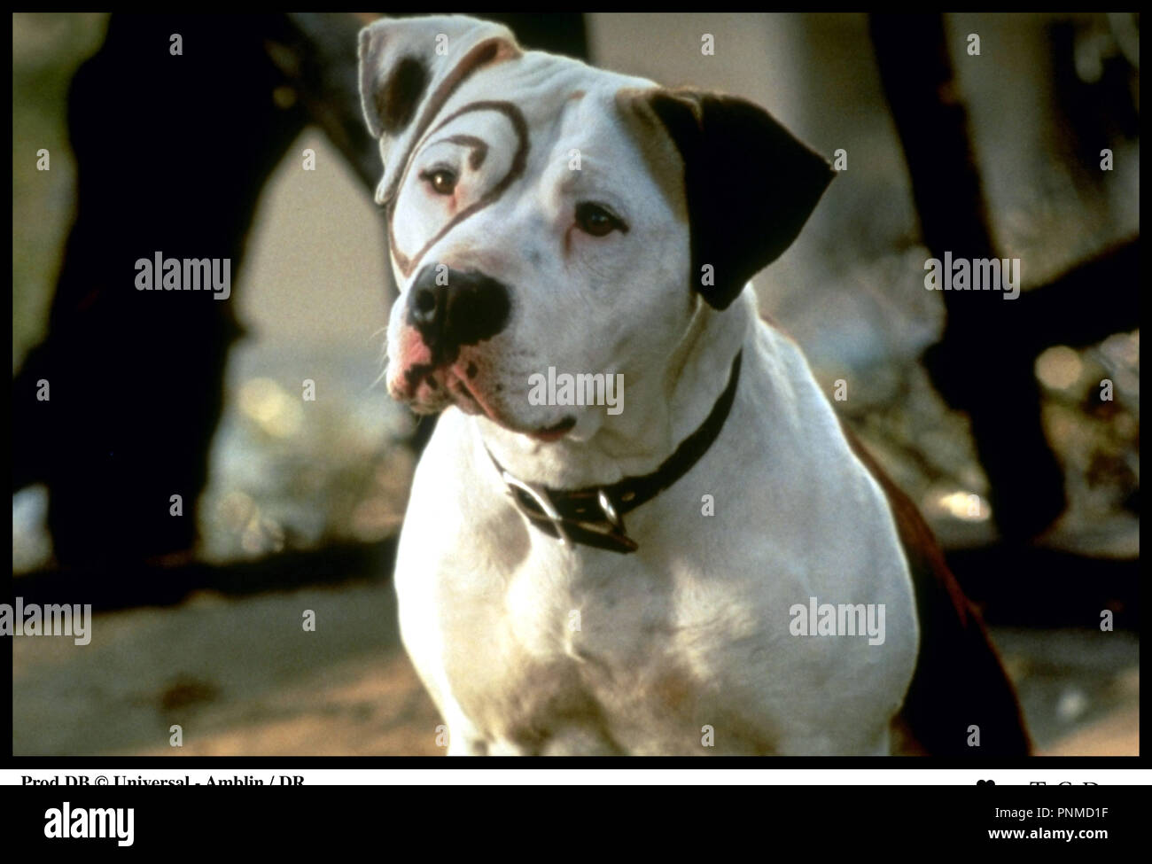 Little Rascals Stock Photos & Little Rascals Stock Images - Alamy