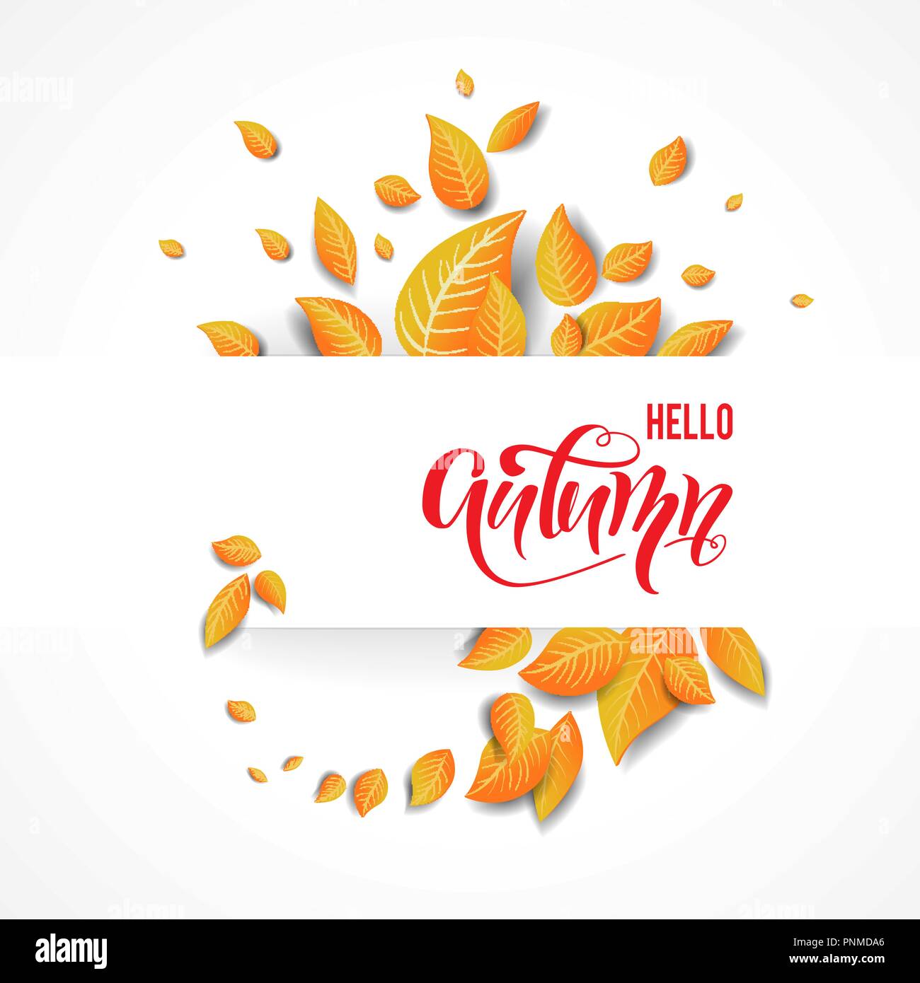 Autumn design isolated Stock Vector Image & Art - Alamy
