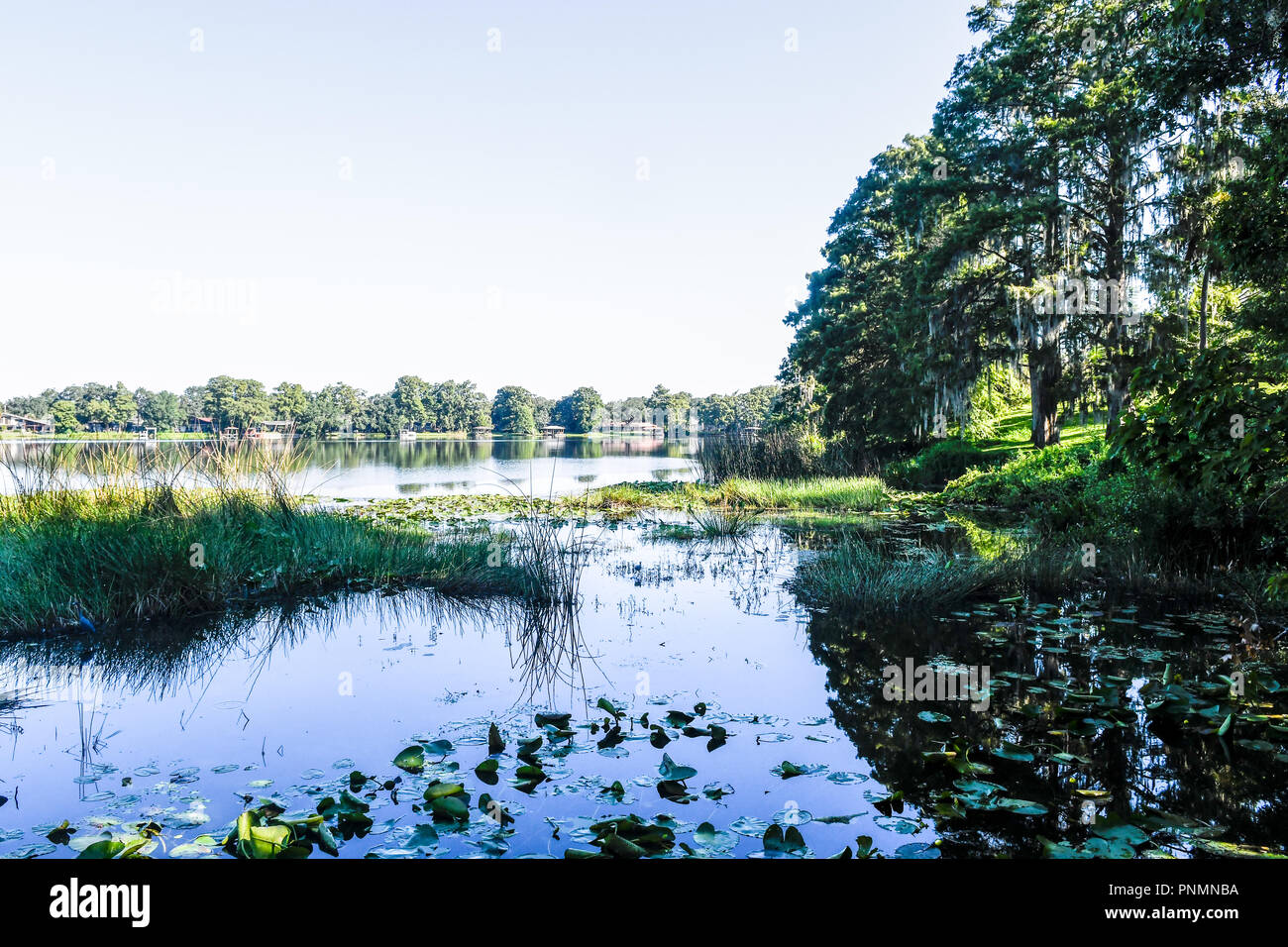 A beautiful lake in a sunny summer day Stock Photo - Alamy