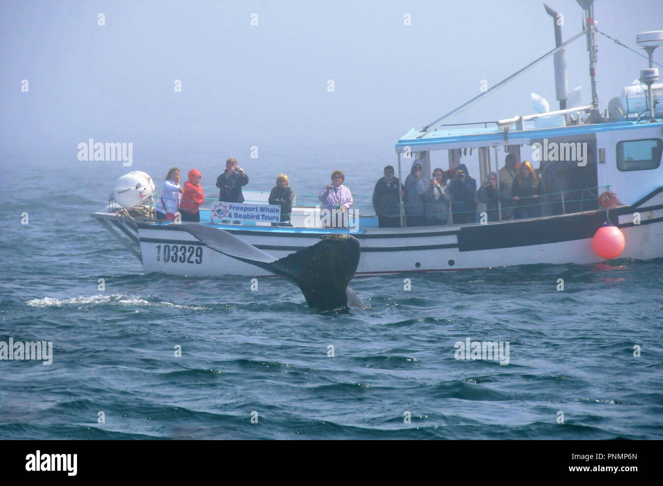 Marine scenes from Nova Scotia, Canada Stock Photo - Alamy
