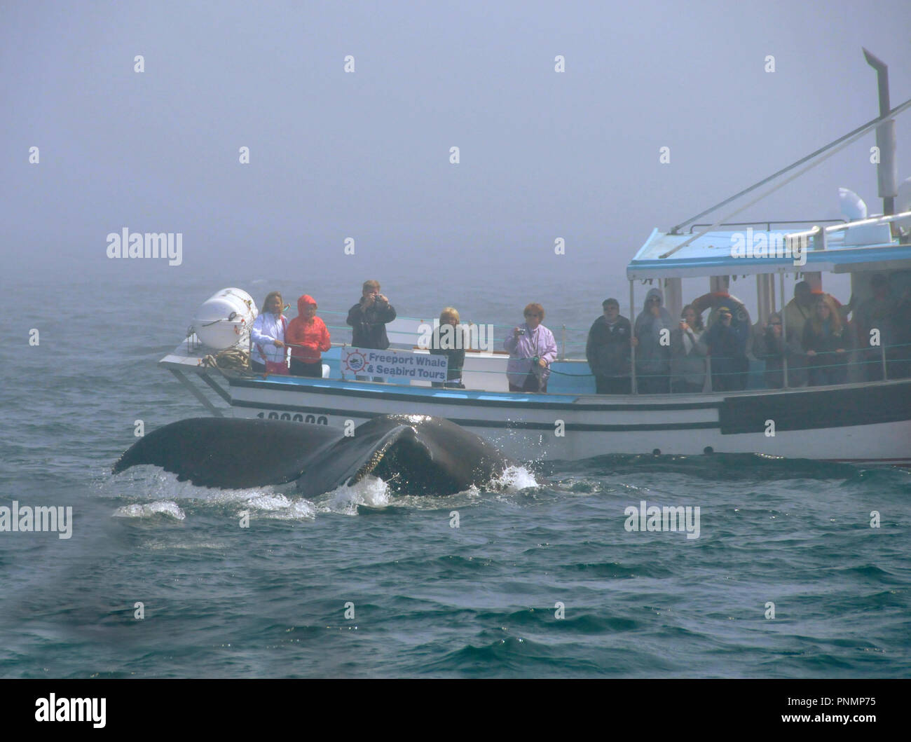 Marine scenes from Nova Scotia, Canada Stock Photo - Alamy