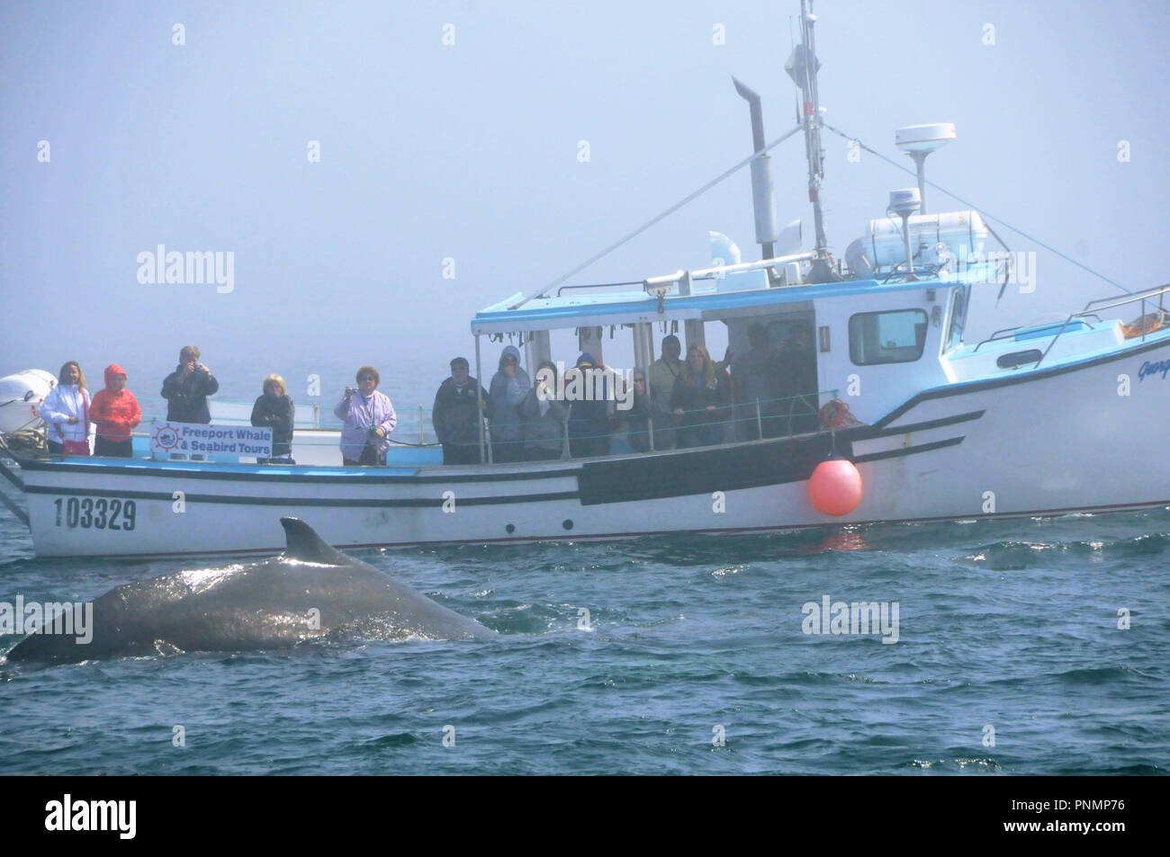 Marine scenes from Nova Scotia, Canada Stock Photo - Alamy