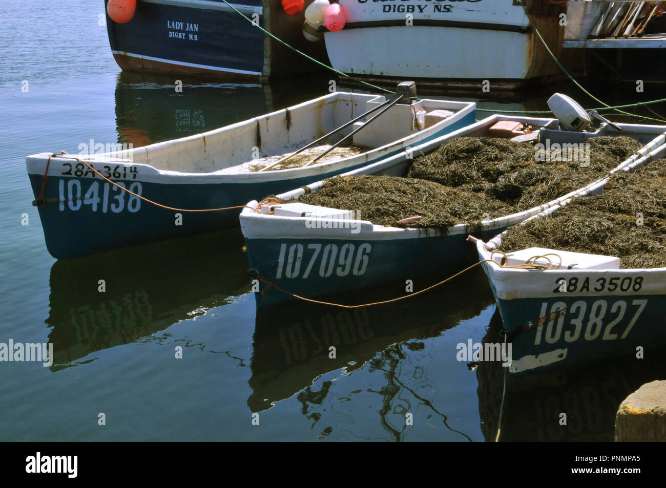 Marine scenes from Nova Scotia, Canada Stock Photo - Alamy