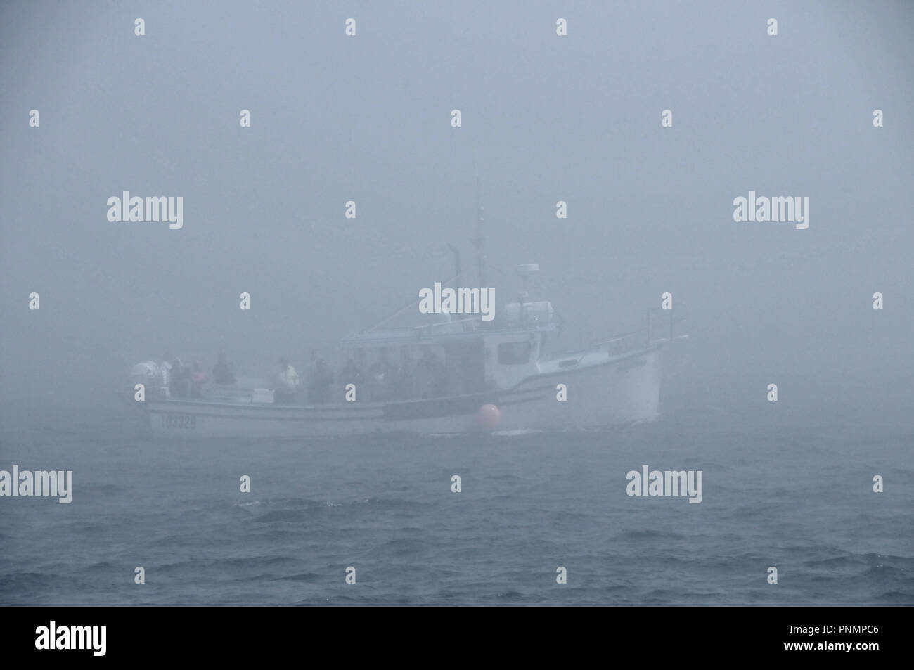 Marine scenes from Nova Scotia, Canada Stock Photo - Alamy