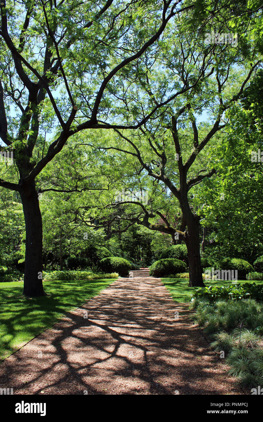 A walking path in Cantigny Gardens leading to a tree tunnel with tree ...