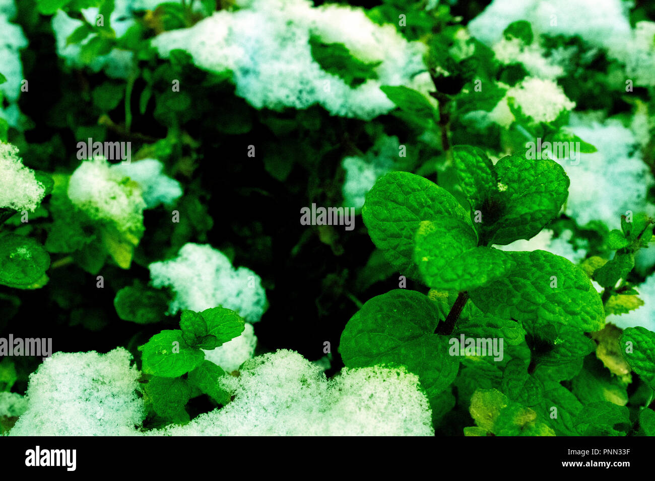 Icey hi-res stock photography and images - Alamy