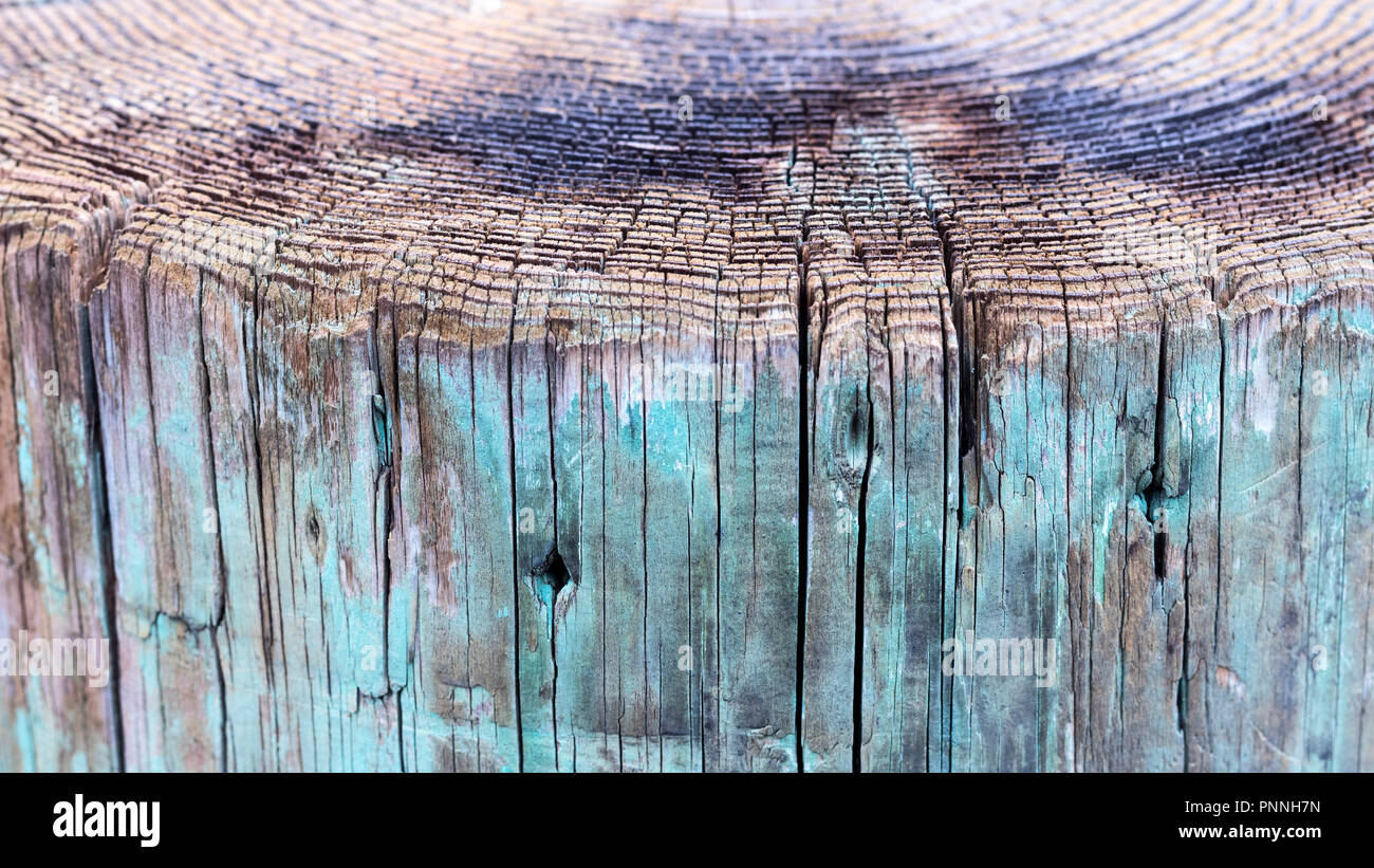 Above view of tree rings and side view of weathered wood pier, a ...