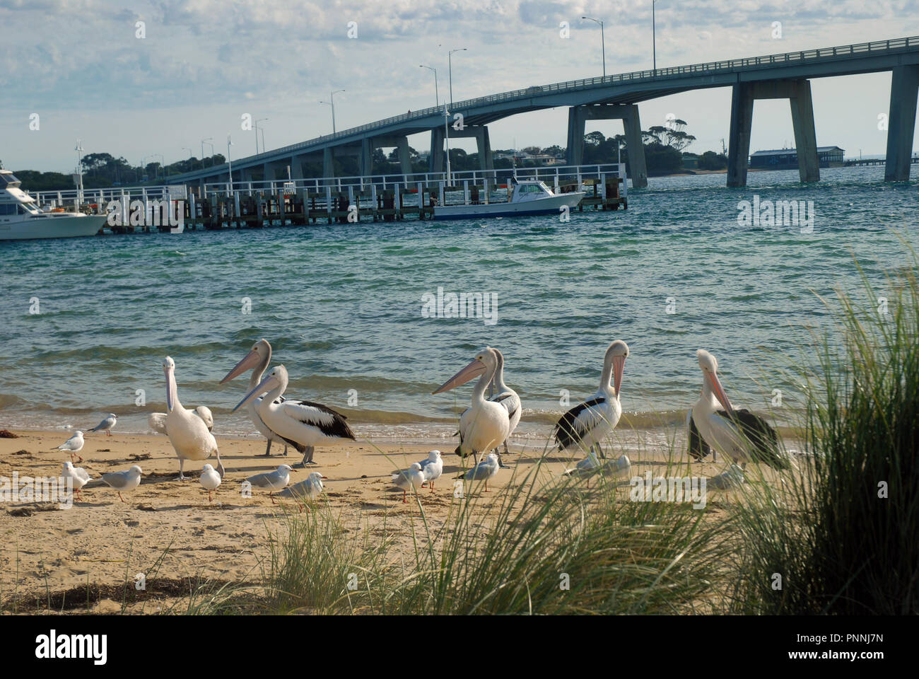 Elongated pier hi-res stock photography and images - Alamy
