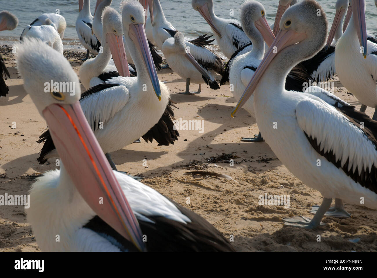 Elongated pier hi-res stock photography and images - Alamy