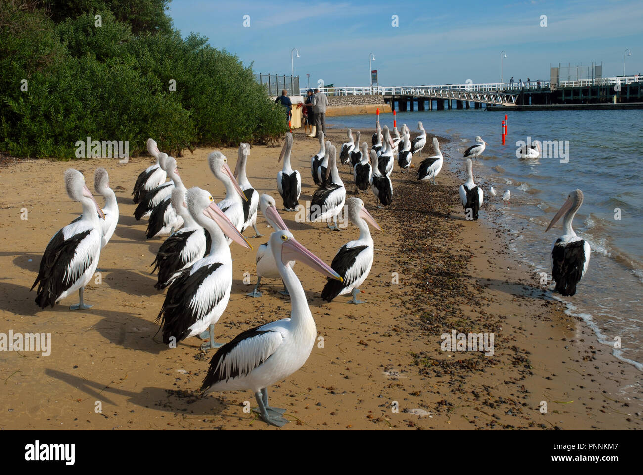 Elongated pier hi-res stock photography and images - Alamy