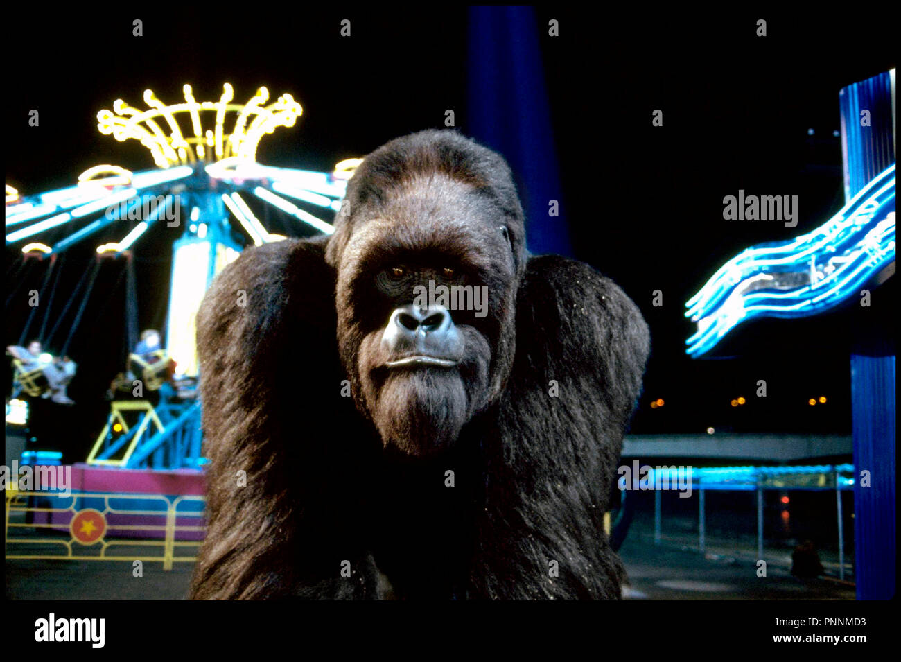 Mighty Joe Young Stock Photos & Mighty Joe Young Stock Images - Alamy