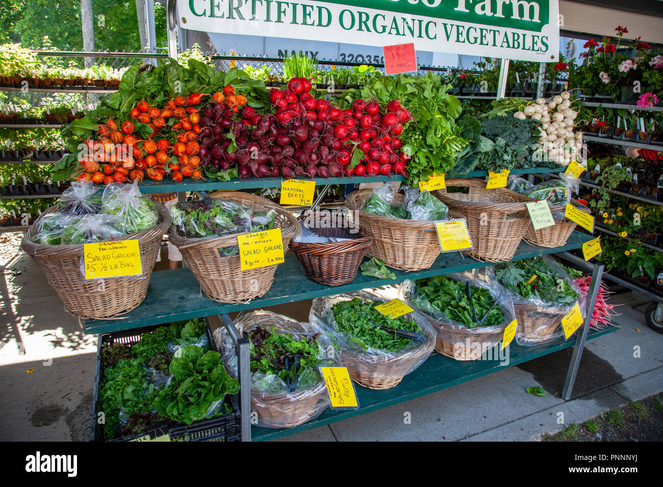 Summer in the farm hi-res stock photography and images - Alamy