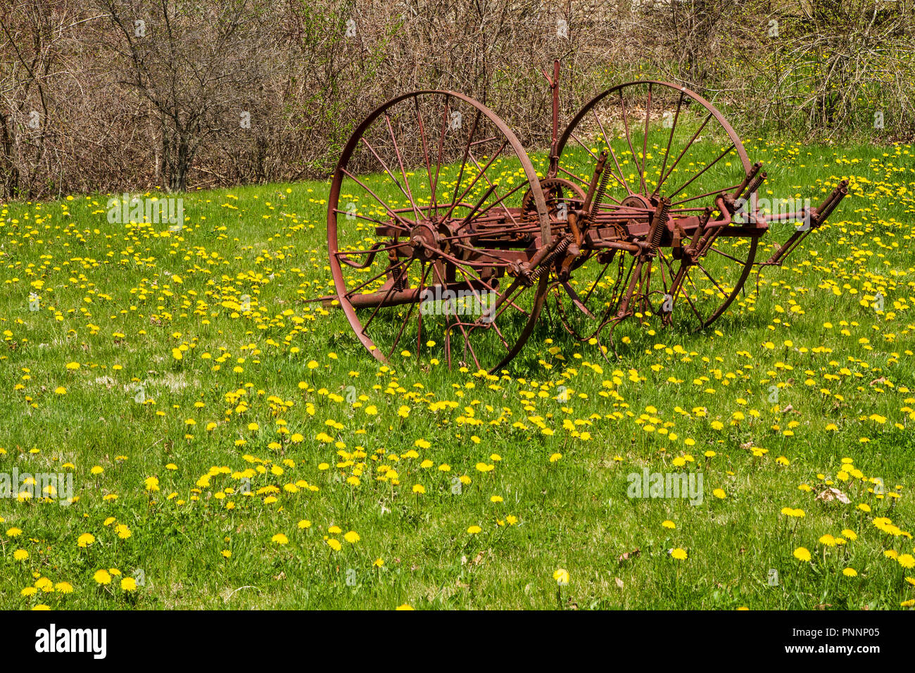 The old hay rake hi-res stock photography and images - Alamy