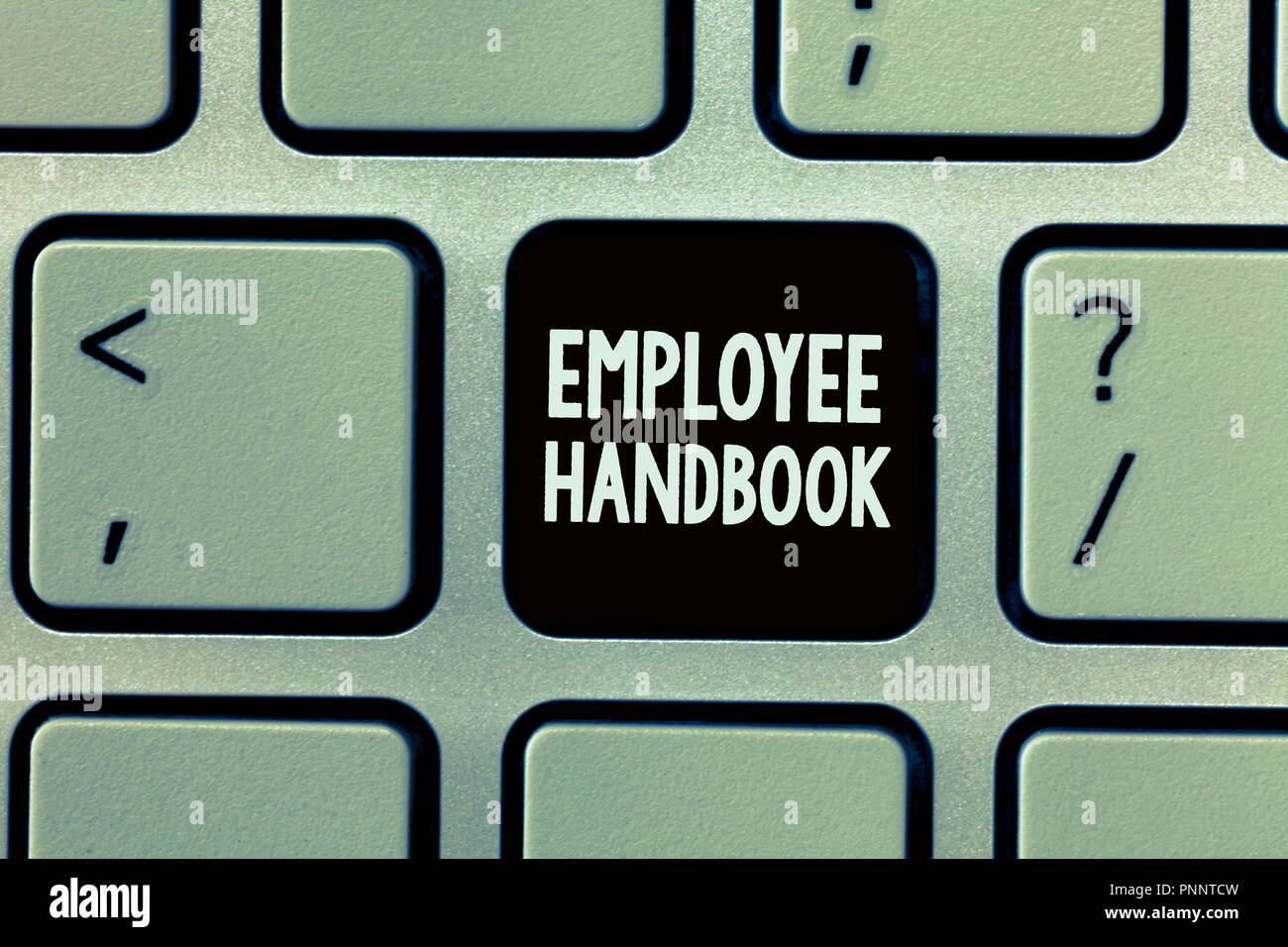 Handwriting text writing Employee Handbook. Concept meaning Document ...