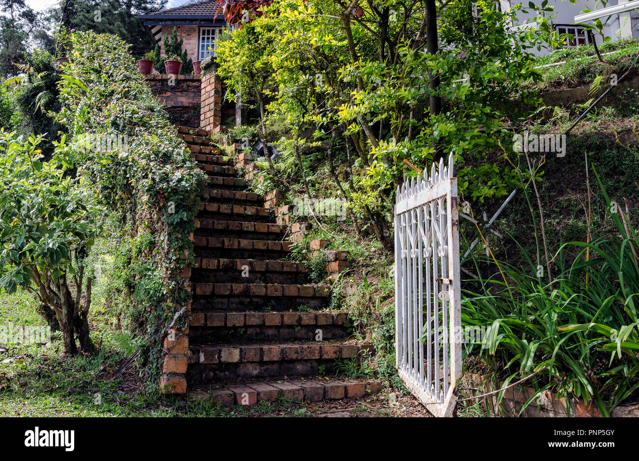 Old house stair case hi-res stock photography and images - Alamy