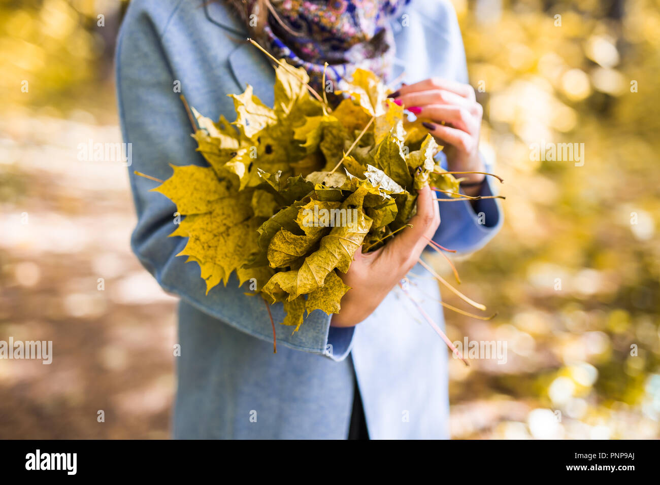 Fall, nature and people concept - Female hands holding autumn bouquet ...