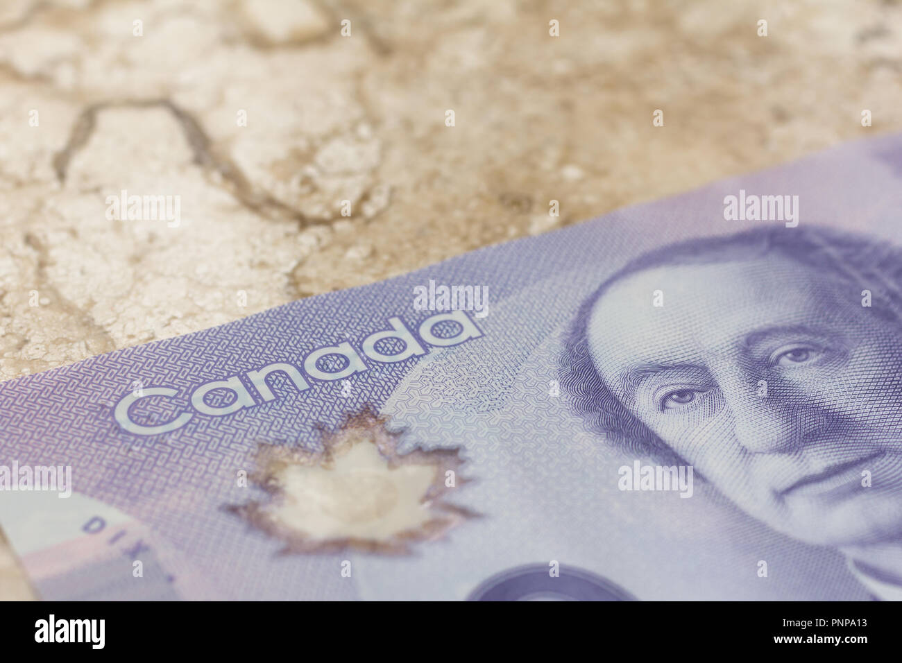 Ten canadian dollar hi-res stock photography and images - Alamy
