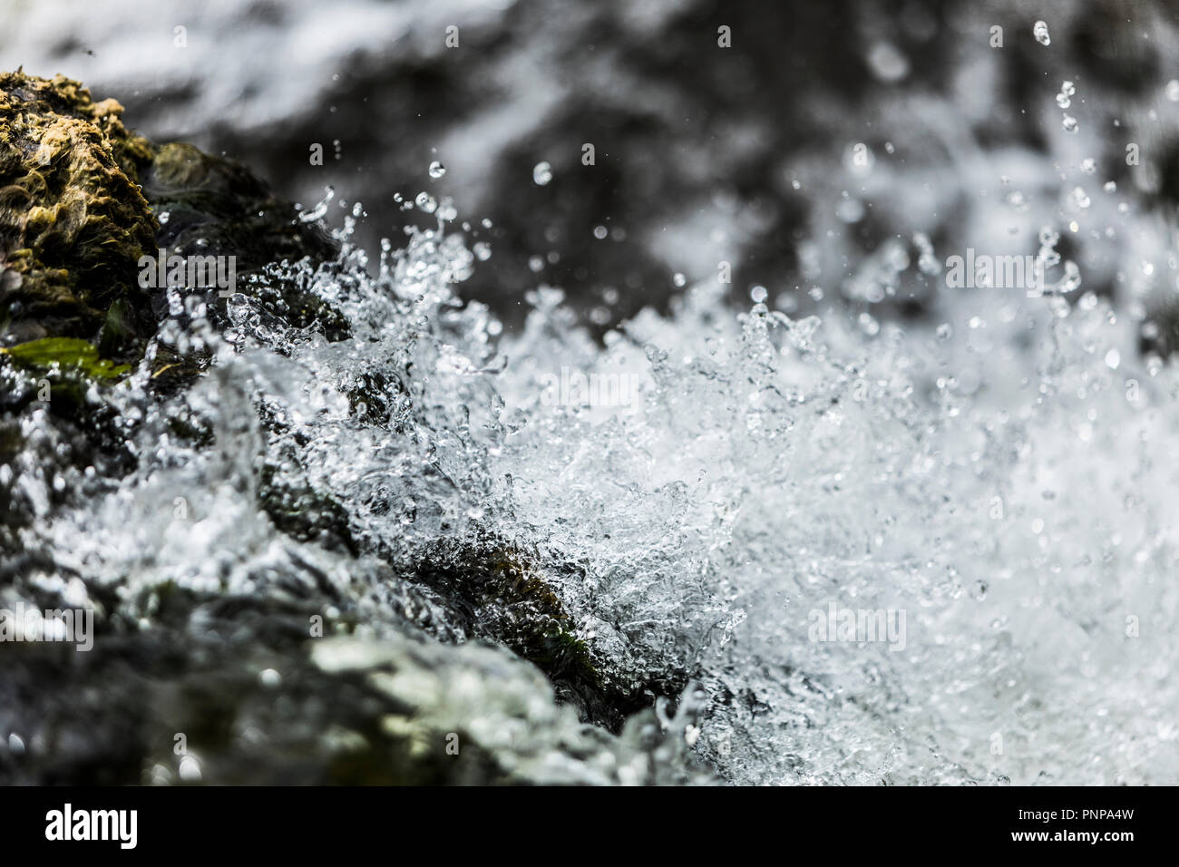 Raging river water passing a rock Stock Photo - Alamy
