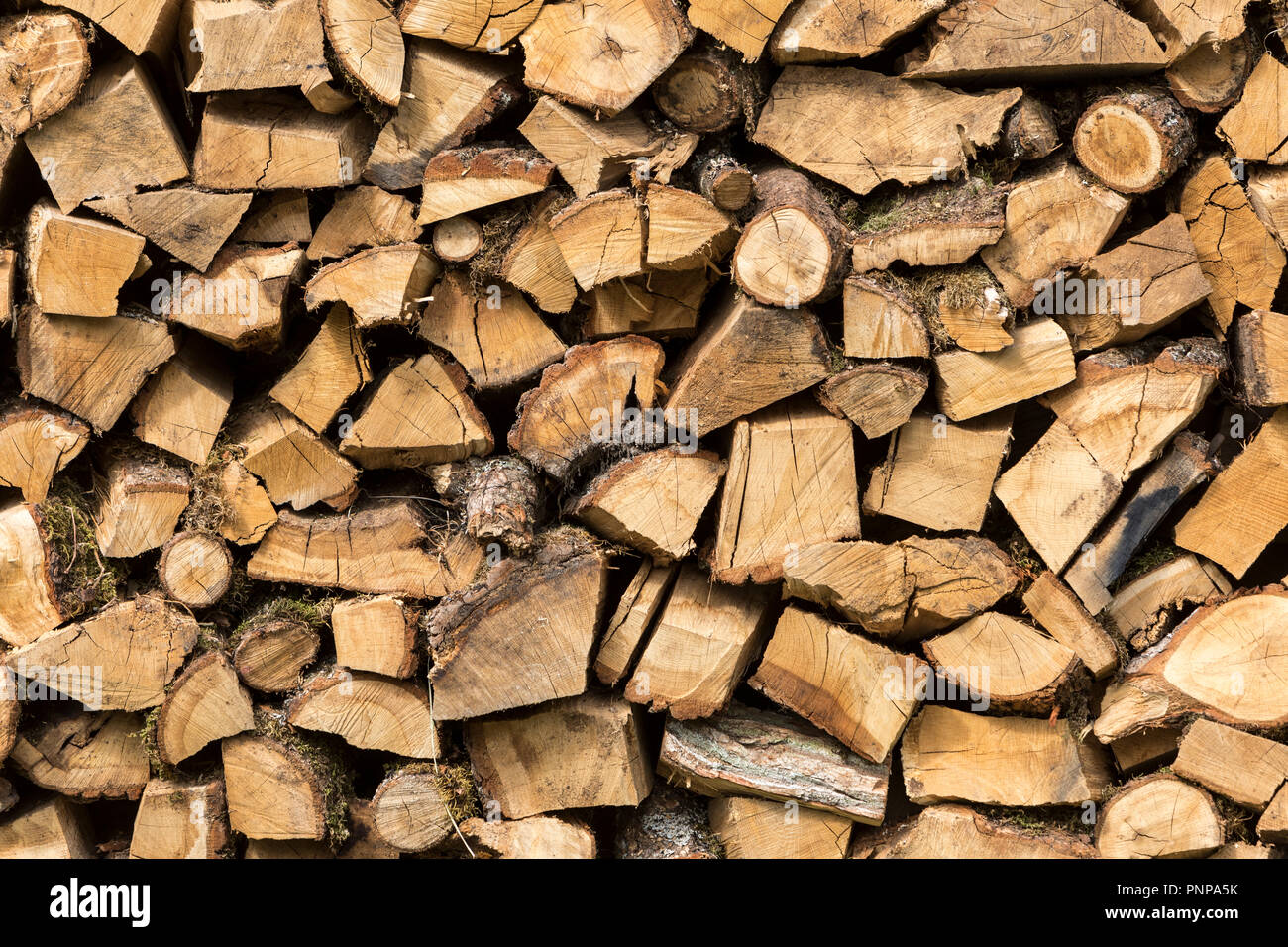 Chopped wood stocked in a pile Stock Photo - Alamy