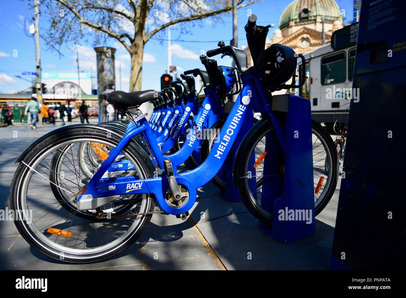 Blue hire bicycles, Melbourne VIC, Australia Stock Photo - Alamy