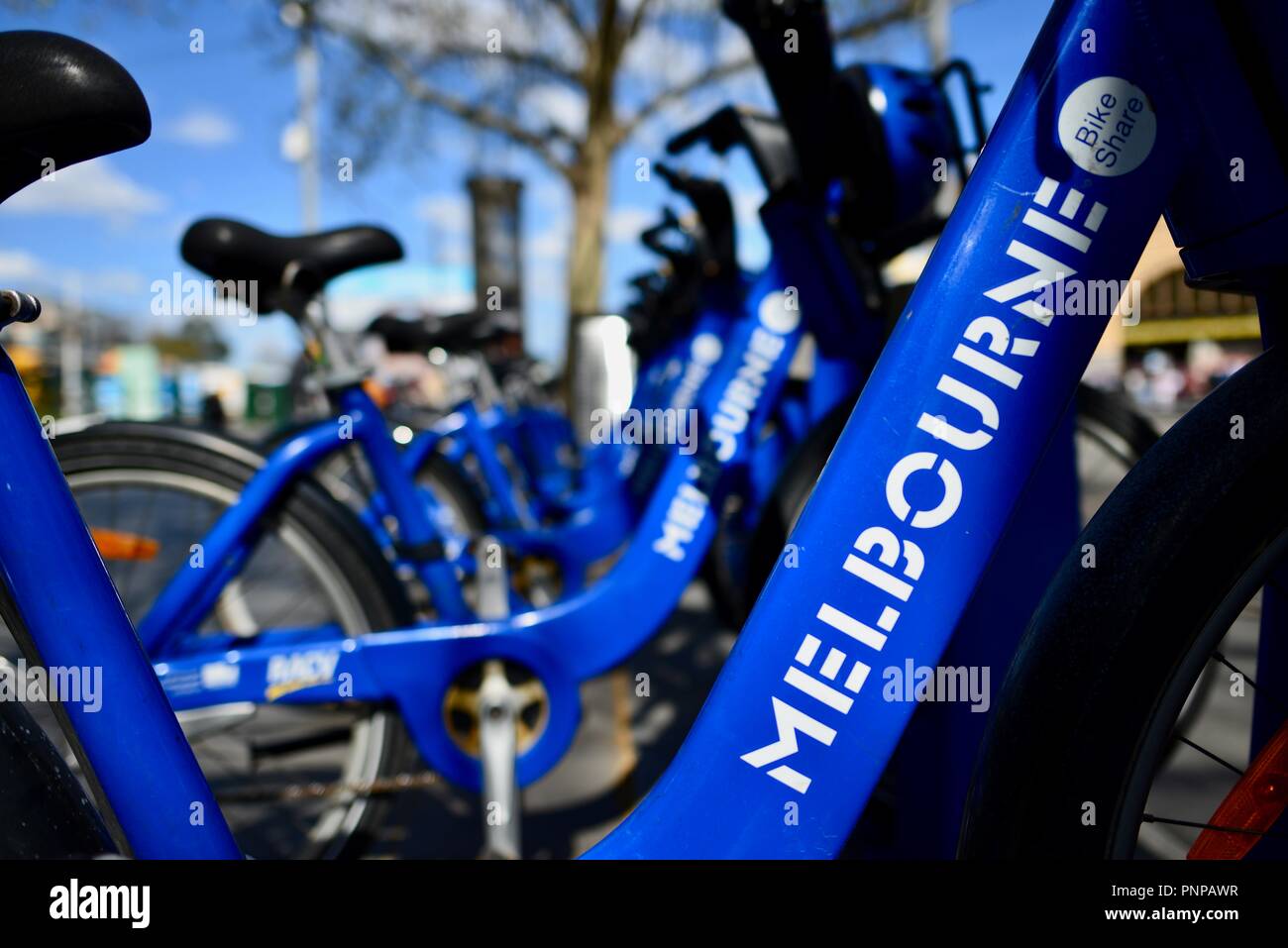 Blue hire bicycles, Melbourne VIC, Australia Stock Photo - Alamy