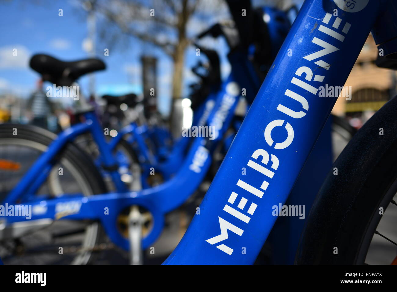 Blue hire bicycles, Melbourne VIC, Australia Stock Photo - Alamy