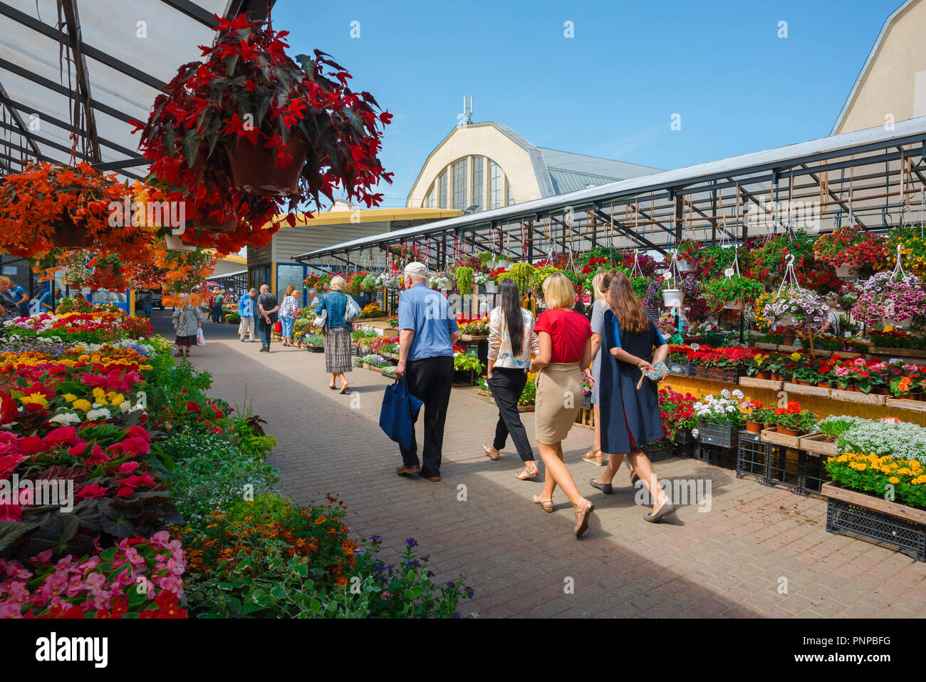 Zeppelin hangars and riga hi-res stock photography and images - Alamy