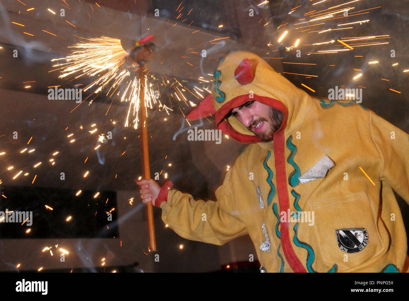 Devils walking stick hi-res stock photography and images - Alamy