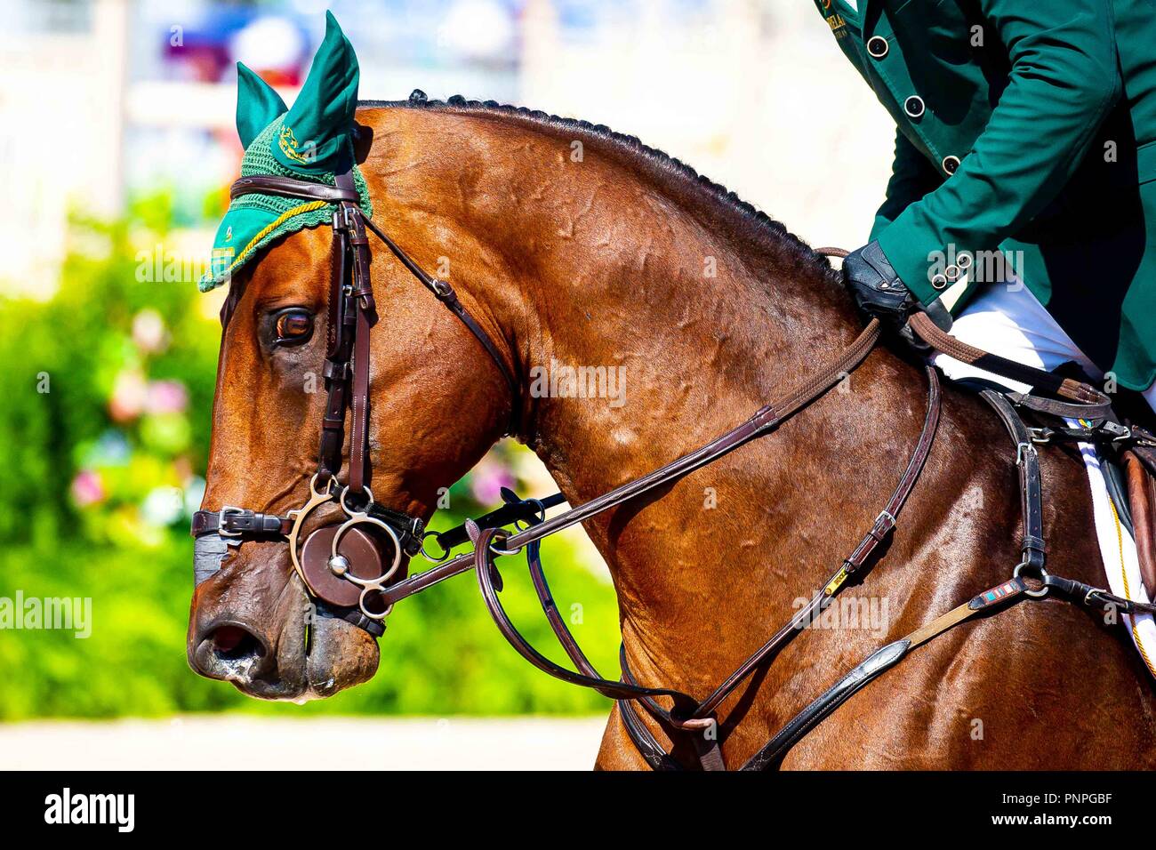 Shane sweetnam chaqui z hi-res stock photography and images - Alamy