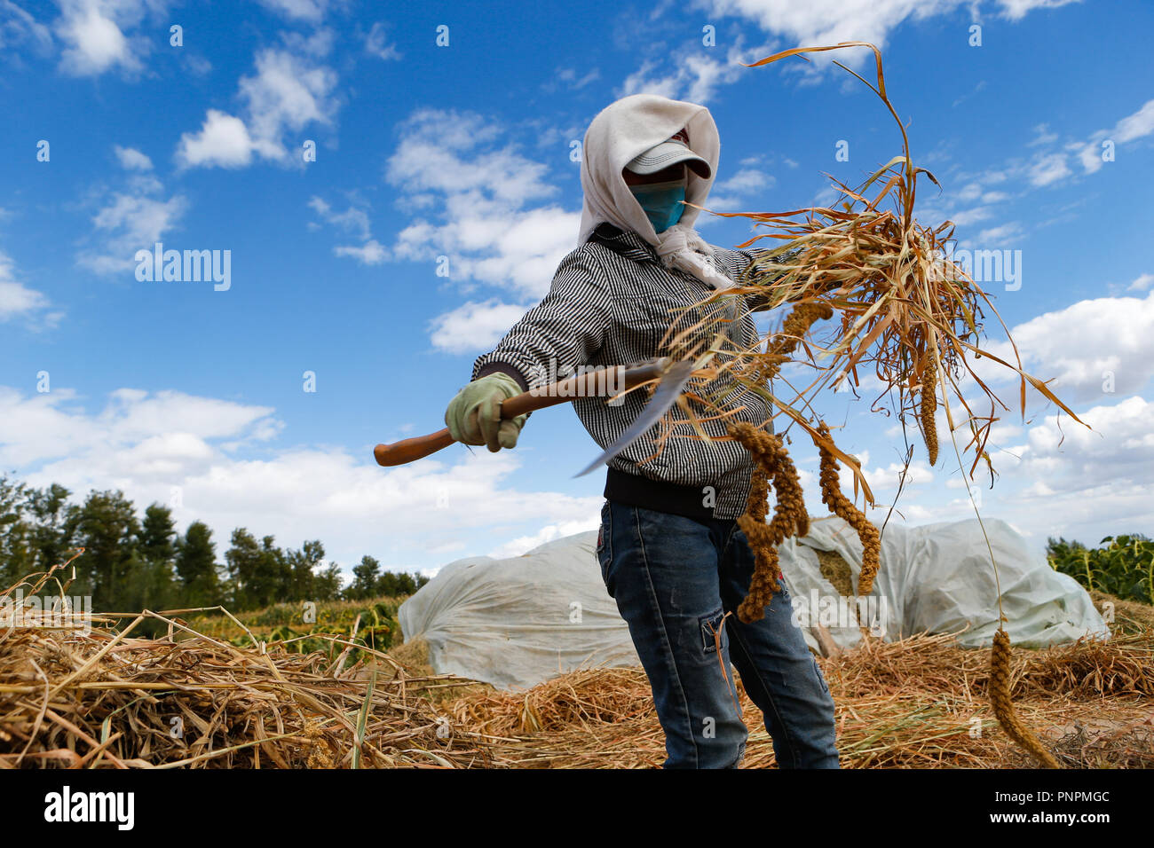 Aohan banner hi-res stock photography and images - Alamy