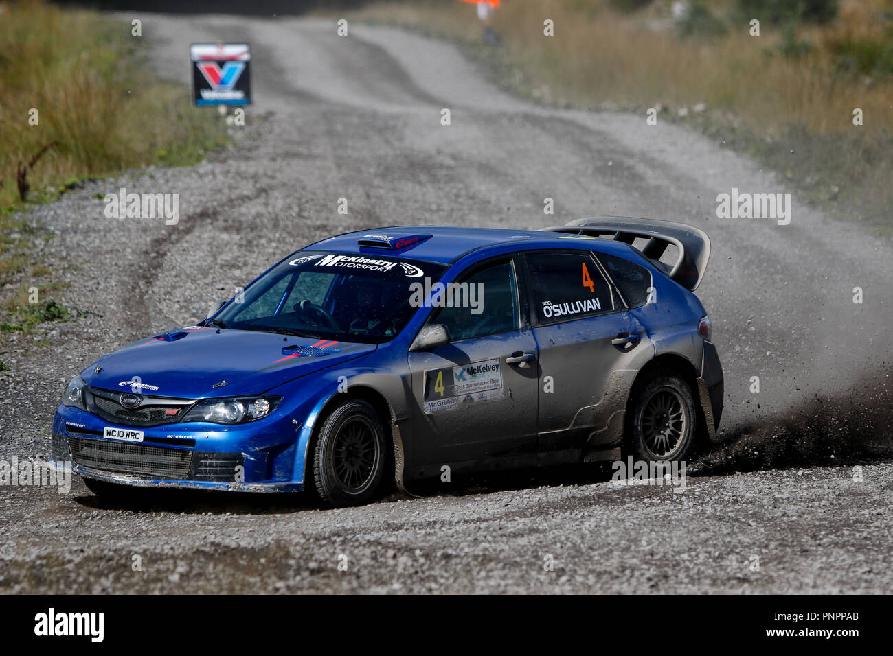 Connor mccloskey hi-res stock photography and images - Alamy