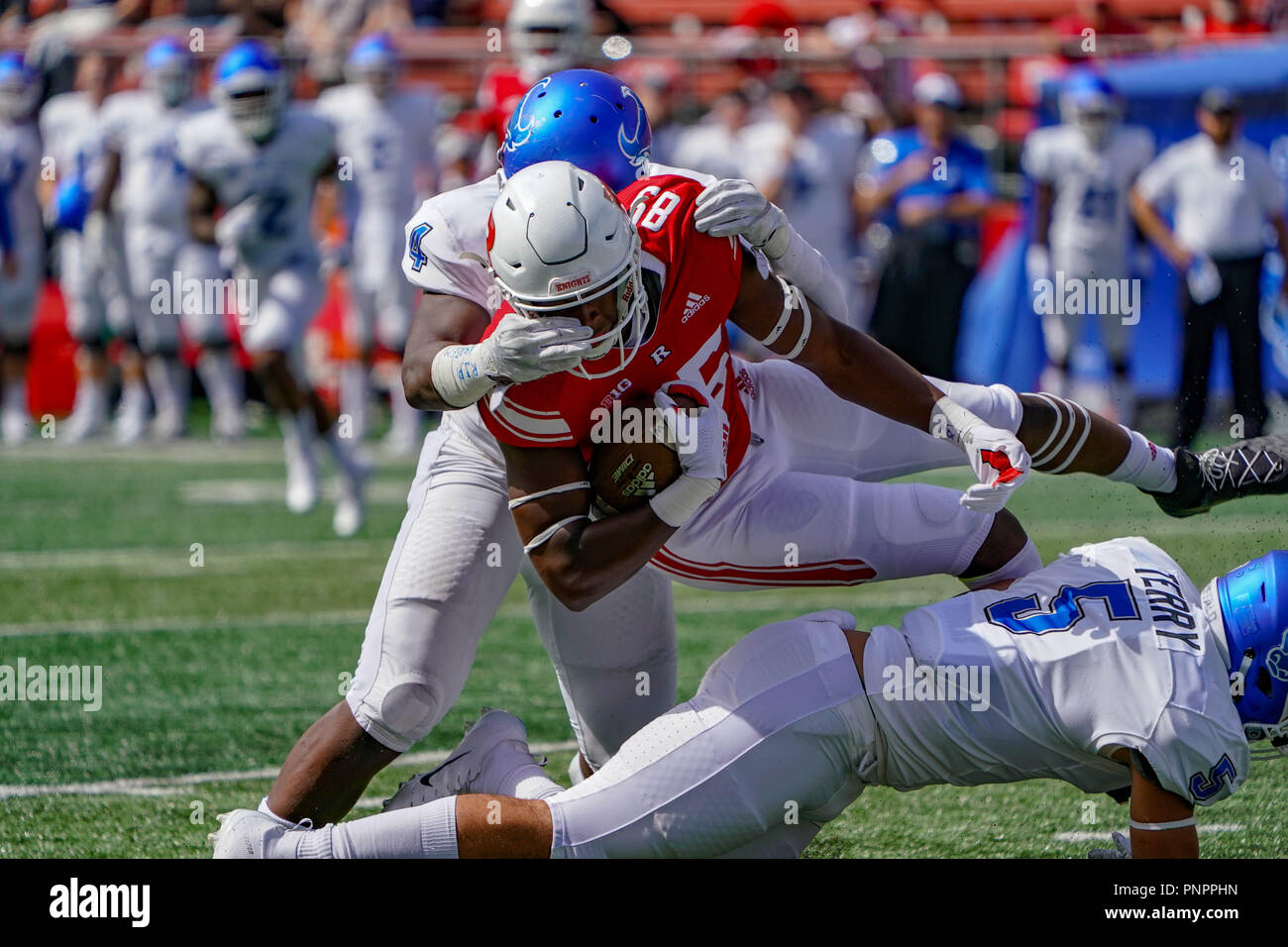 Bo hodge hi-res stock photography and images - Alamy