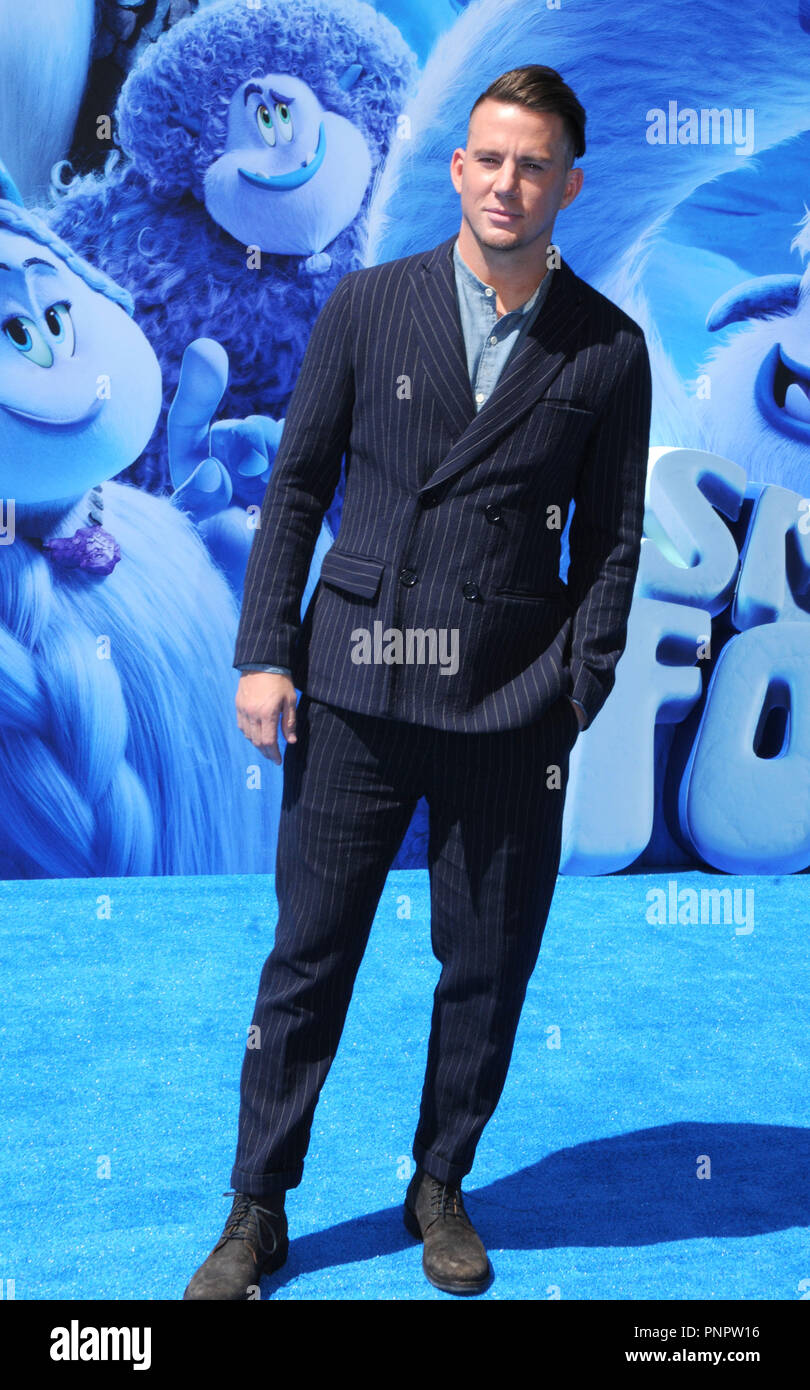 California, USA. 22 September 2018. Actor Channing Tatum attends Warner ...