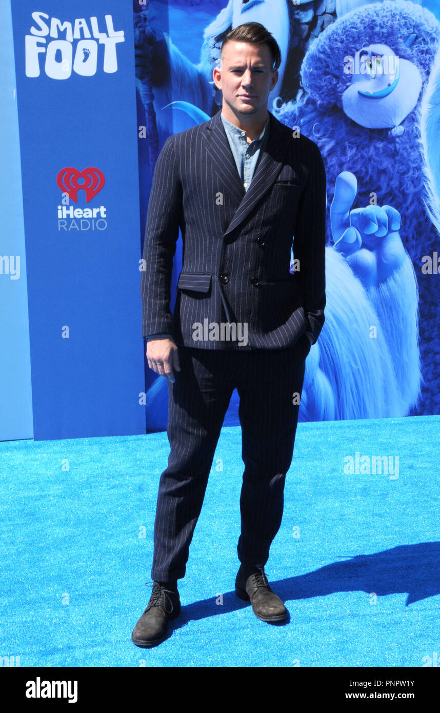 California, USA. 22 September 2018. Actor Channing Tatum attends Warner ...