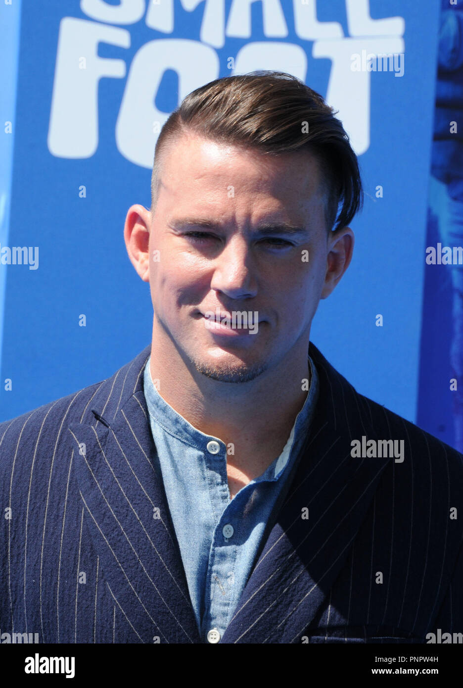 California, USA. 22 September 2018. Actor Channing Tatum attends Warner ...
