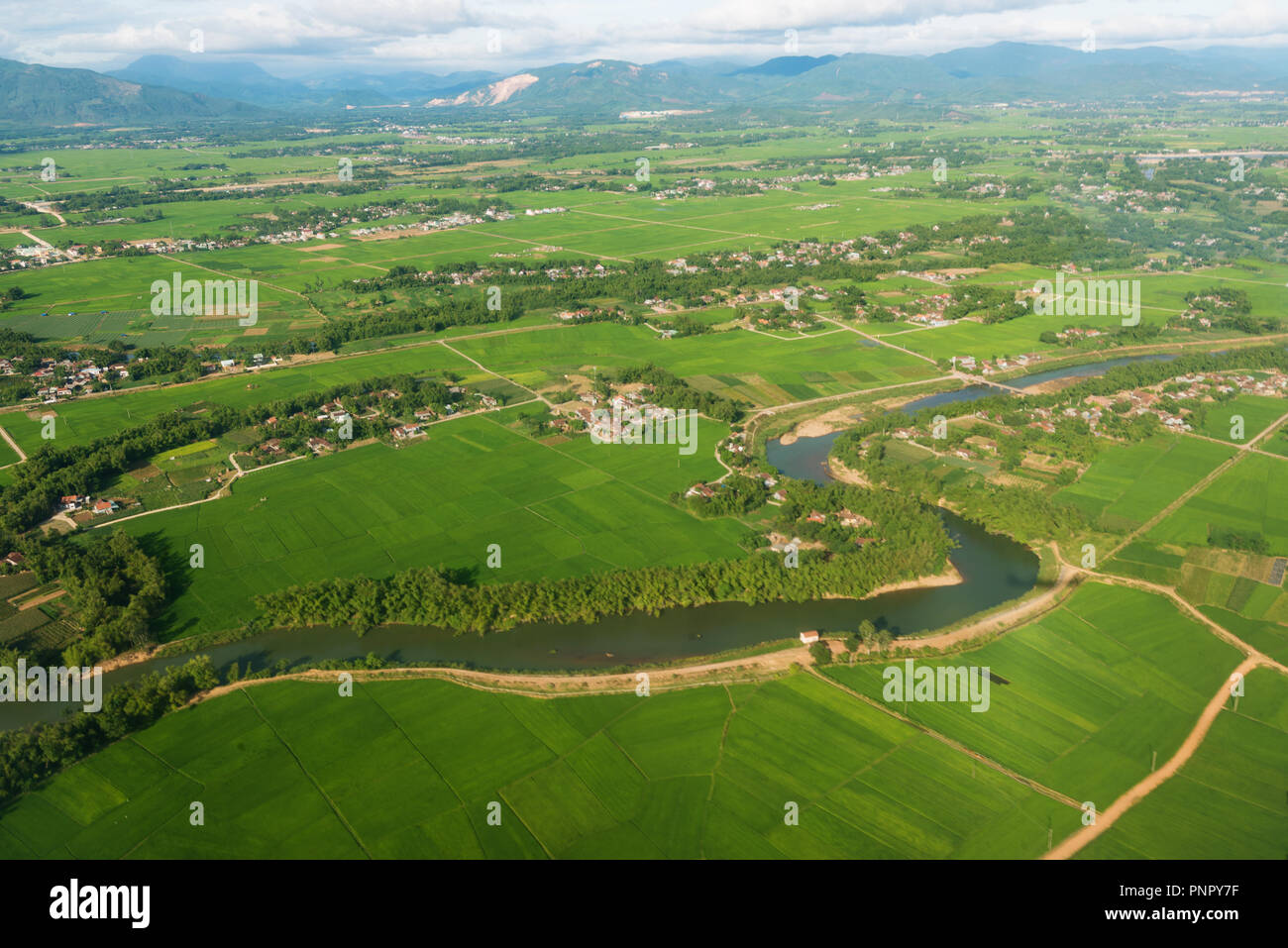 Rice field from sky Stock Photo - Alamy