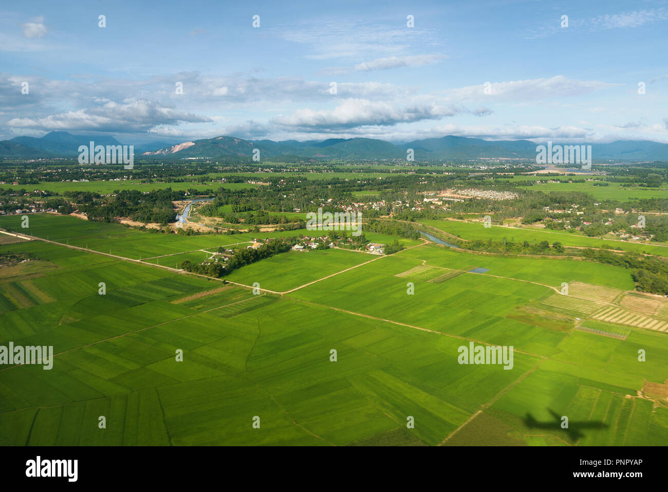 Rice field from sky Stock Photo - Alamy