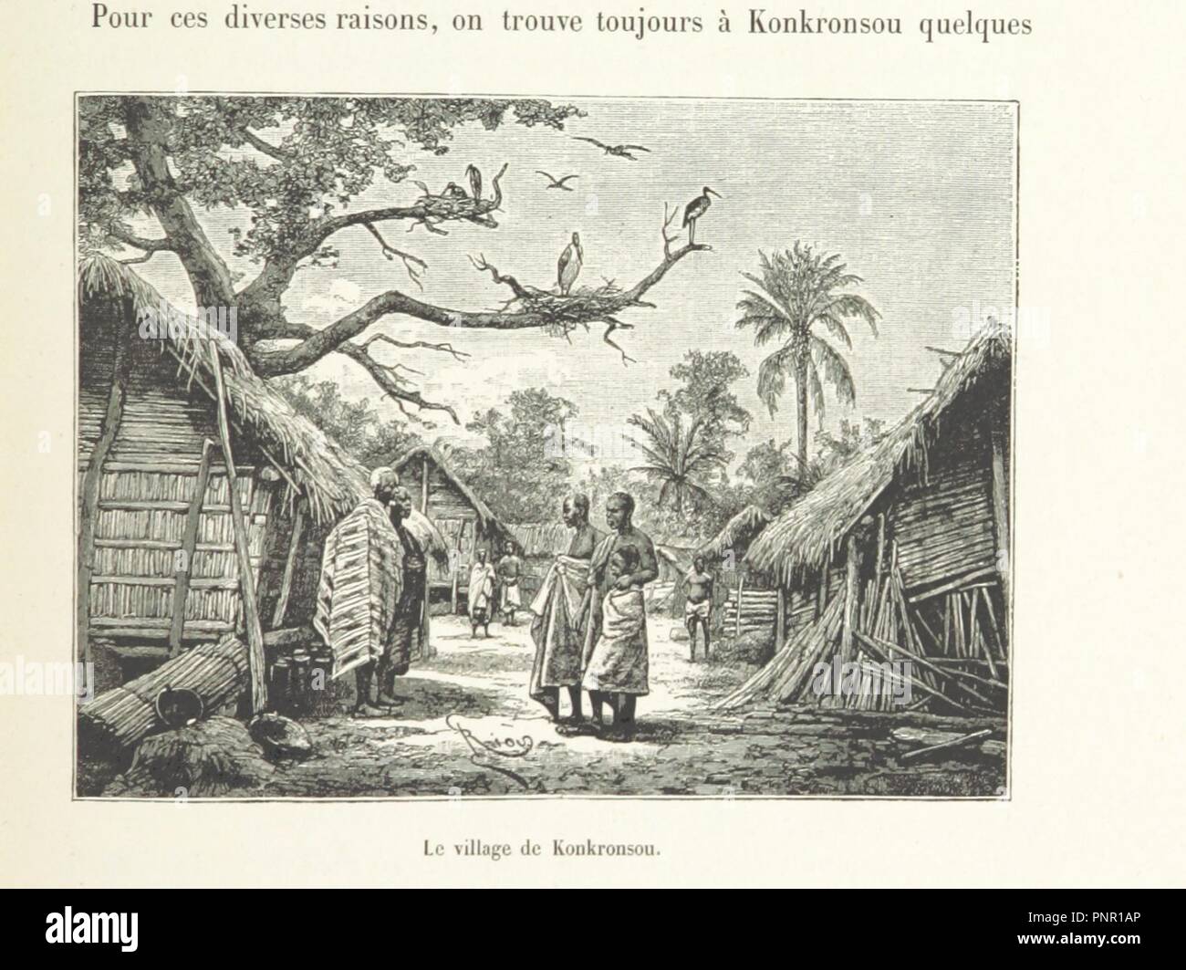 Image from page 137 of 'Du Niger au golfe de Guinée, par le pays de ...