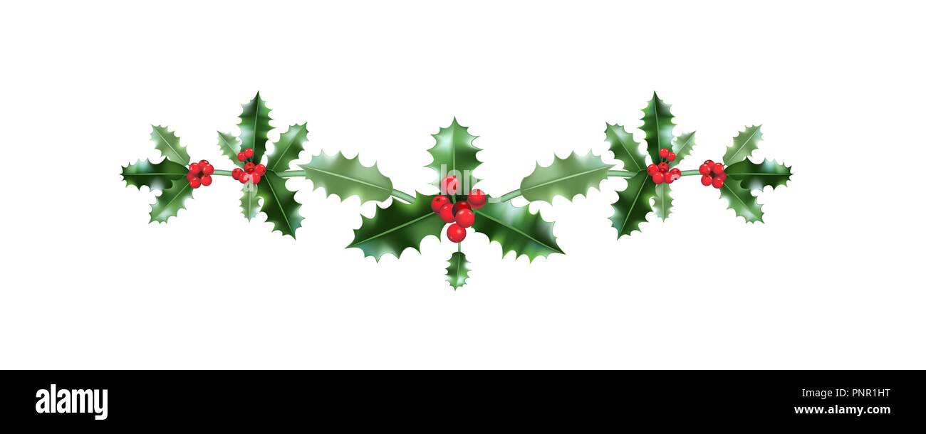 Holiday Christmas holly Stock Vector Image & Art - Alamy
