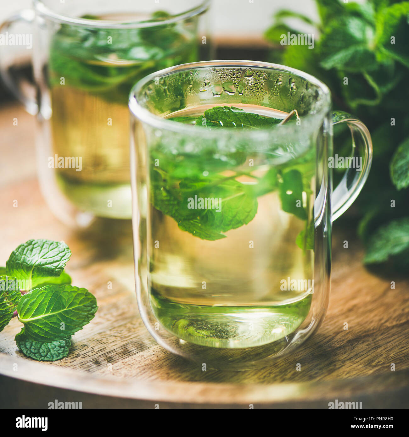Hot herbal mint tea drink in glass mugs, square crop Stock Photo - Alamy