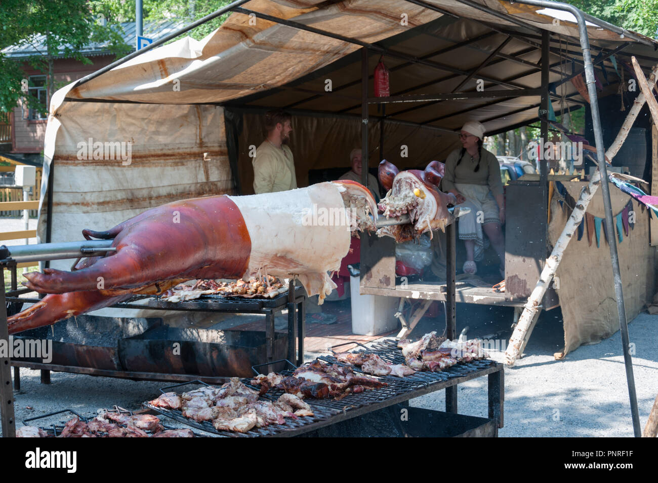 Pig Medieval High Resolution Stock Photography and Images - Alamy